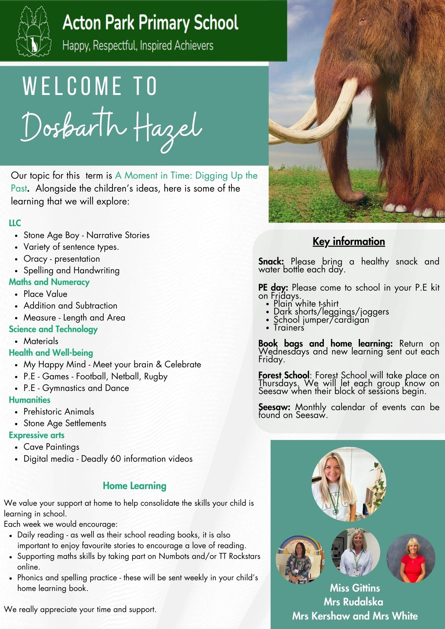 Acton Park Primary School - Hazel